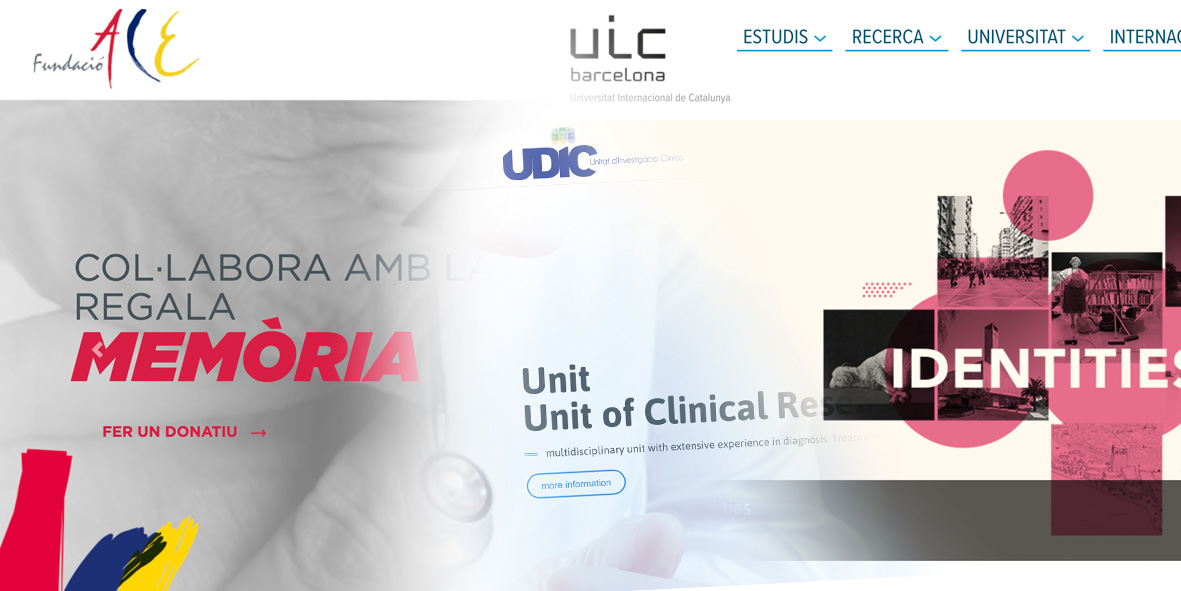 Jornada de intercambio UIC y Fundació ACE - UDIC Unitat D'Investigació ...